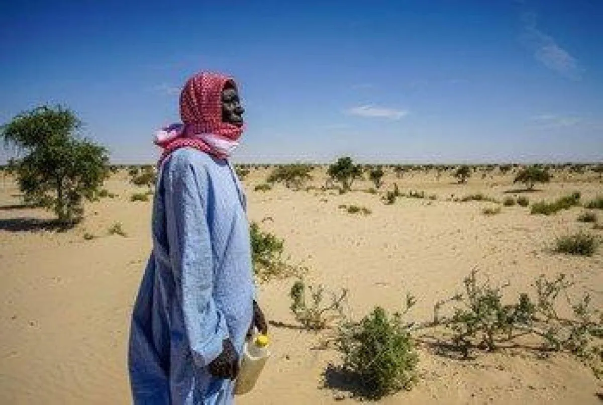 Washington: Afrika’nın Sahel bölgesinde terörizm ve darbeleri durdurulmalı