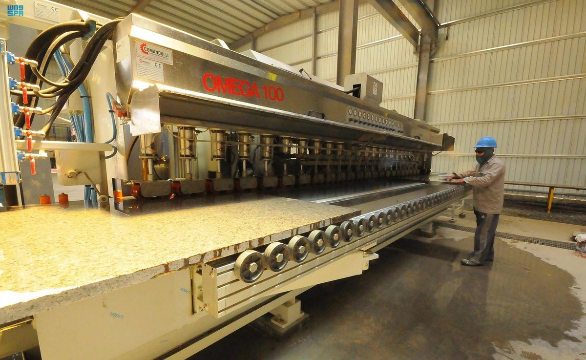 Suudi Arabistan bir mükemmellik merkezi kurarak, küresel bir ...