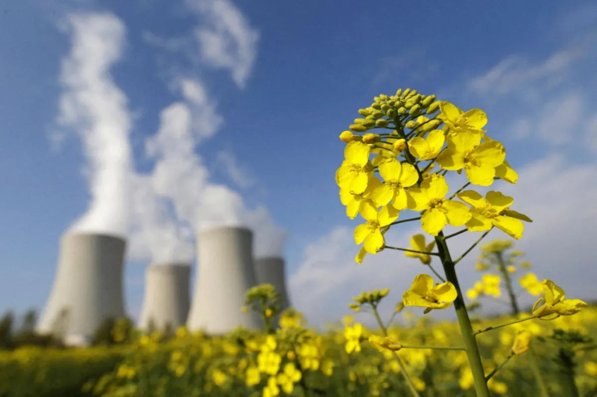 AB'nin yeşil enerji hedeflerini tutturması için yılda 700 milyar euro ...