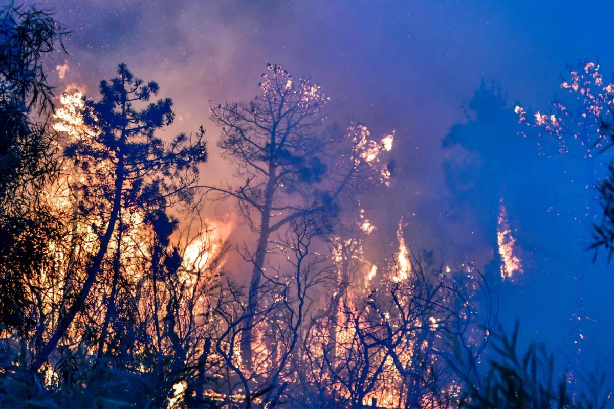 ‘Yakıcı temmuzdaki’ afetler