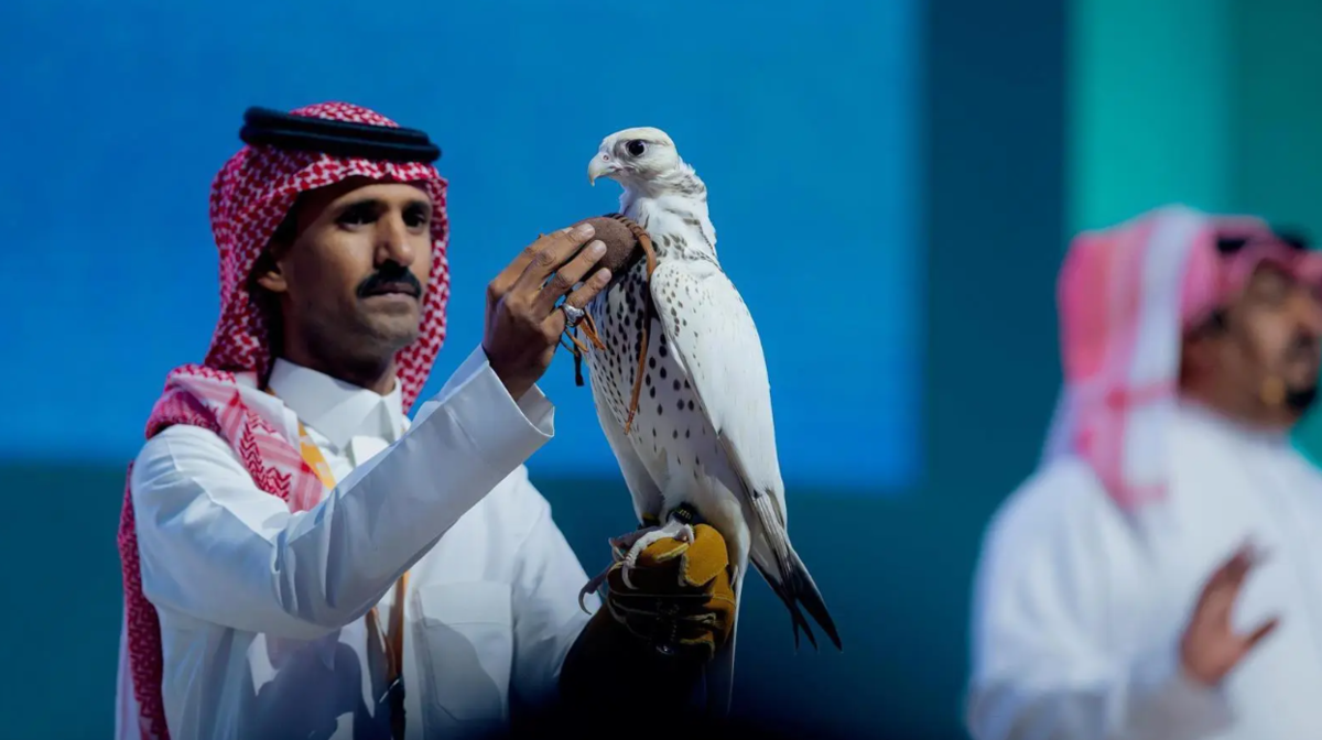 Saudi Falcon Auction Sees Ultra-White Hur Falcon Fetch $146,000