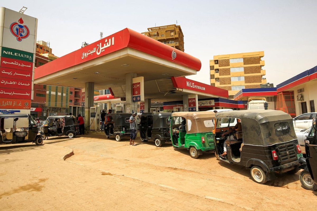 Savaş nedeniyle Sudan'ın yakıtı tükendi; bedelini ağaçlar ödüyor