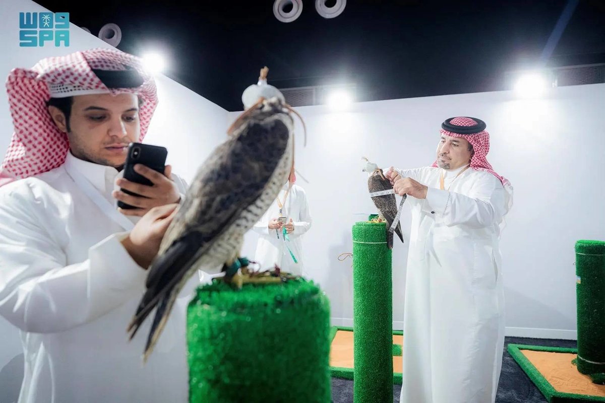 Saudi Falcons Club Auction Nears SAR 1 Million in Sales by the Sixth Day