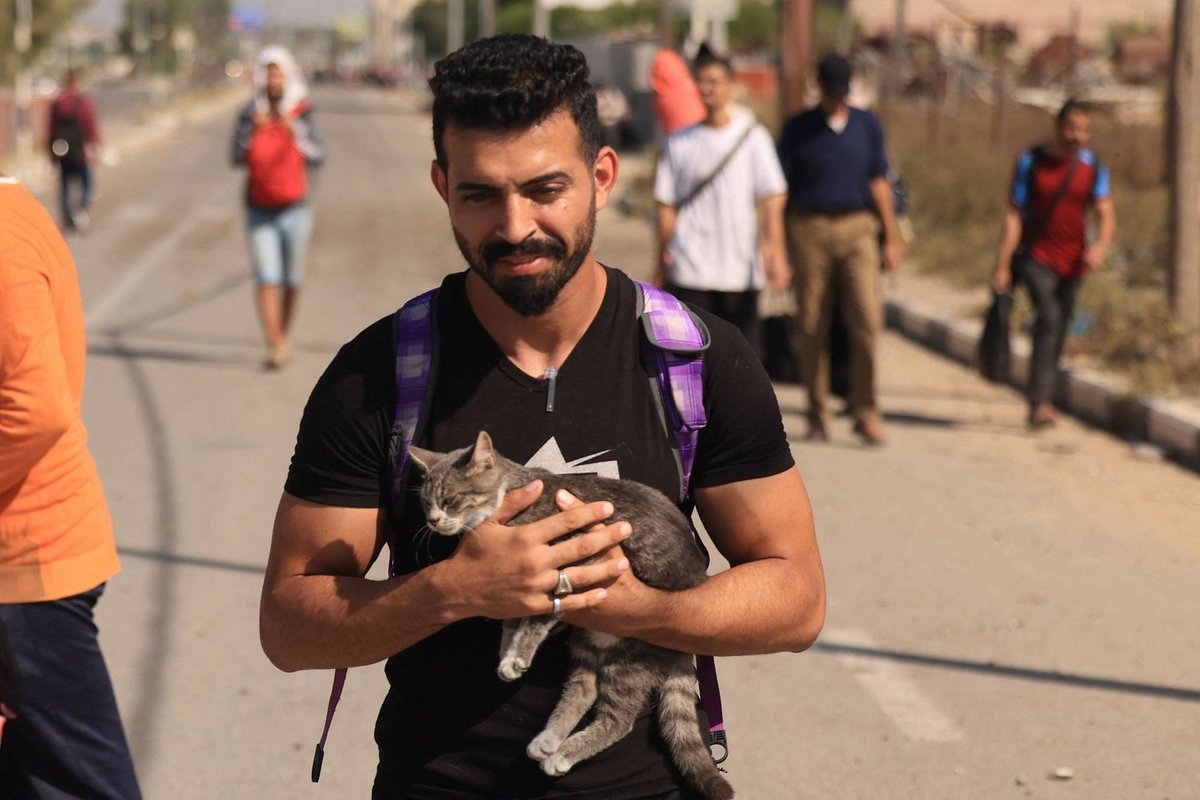 Filistinlilerin savaştan kaçış yolculuğu (Fotoğraf)