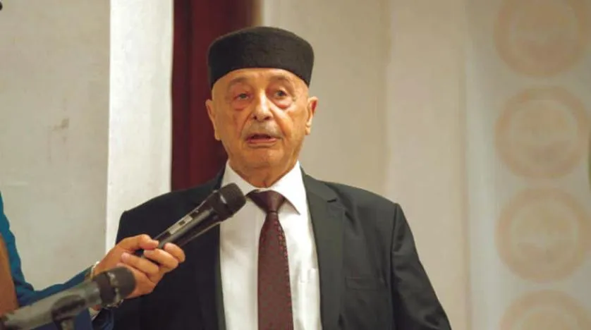 Libyalıların yeni bir yürütme otoritesi oluşturma önerisine tepkisi