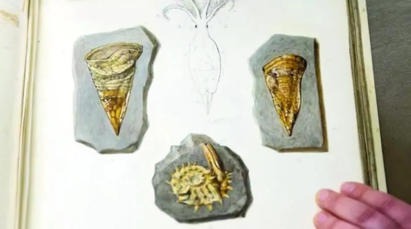 Bilim tarihine geçen dört şaşırtıcı bulgu