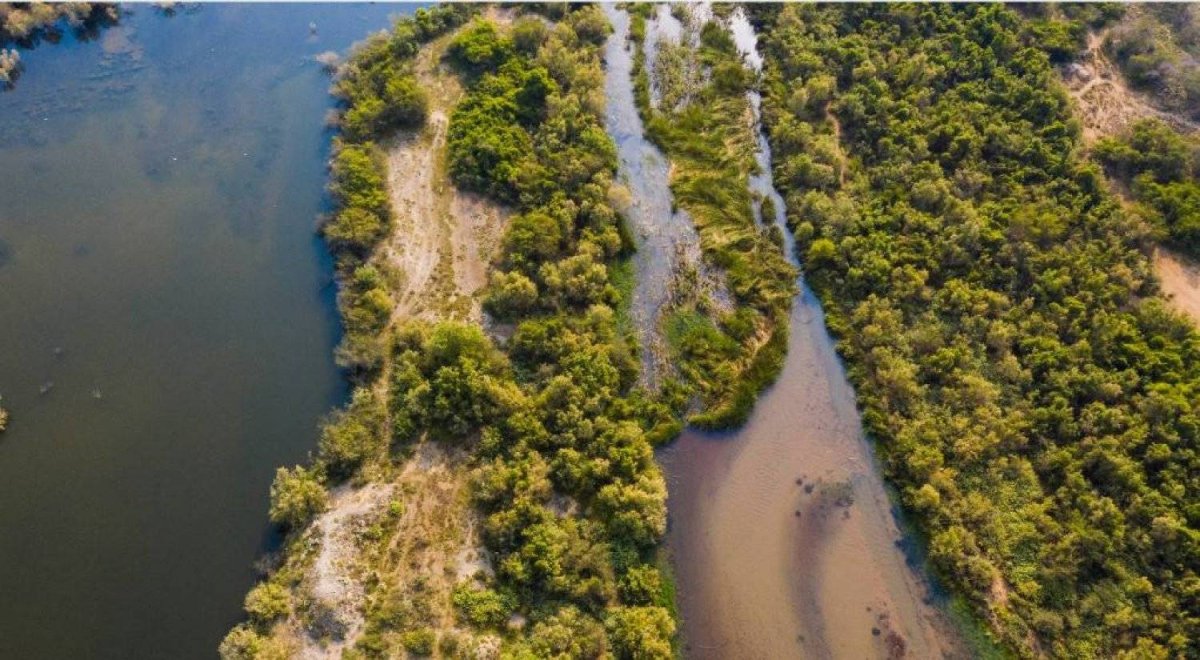 Saudi Environment Ministry Announces Recycling Plan, Boosting GDP by ...