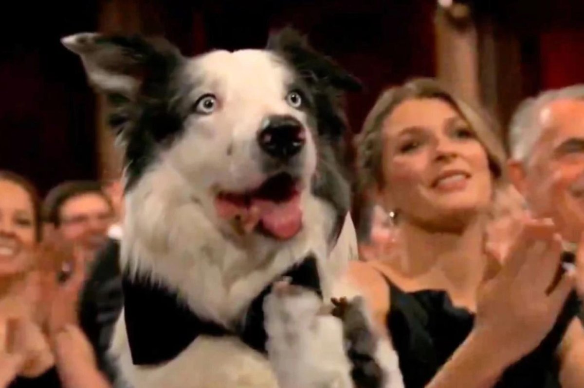 Herkesten daha çok konuşuldu: Oscar adayı filmin yıldızı "Messi" viral oldu