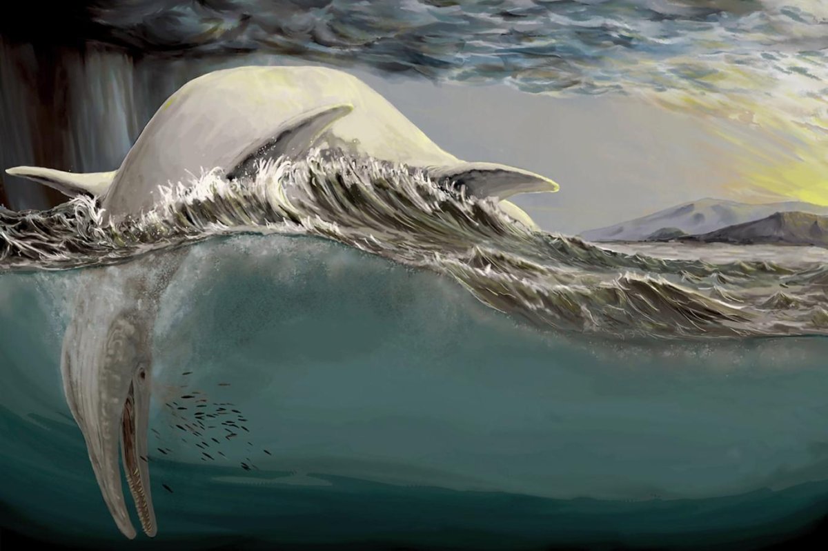 19. yüzyılda bulunan fosillerin gizemi çözüldü