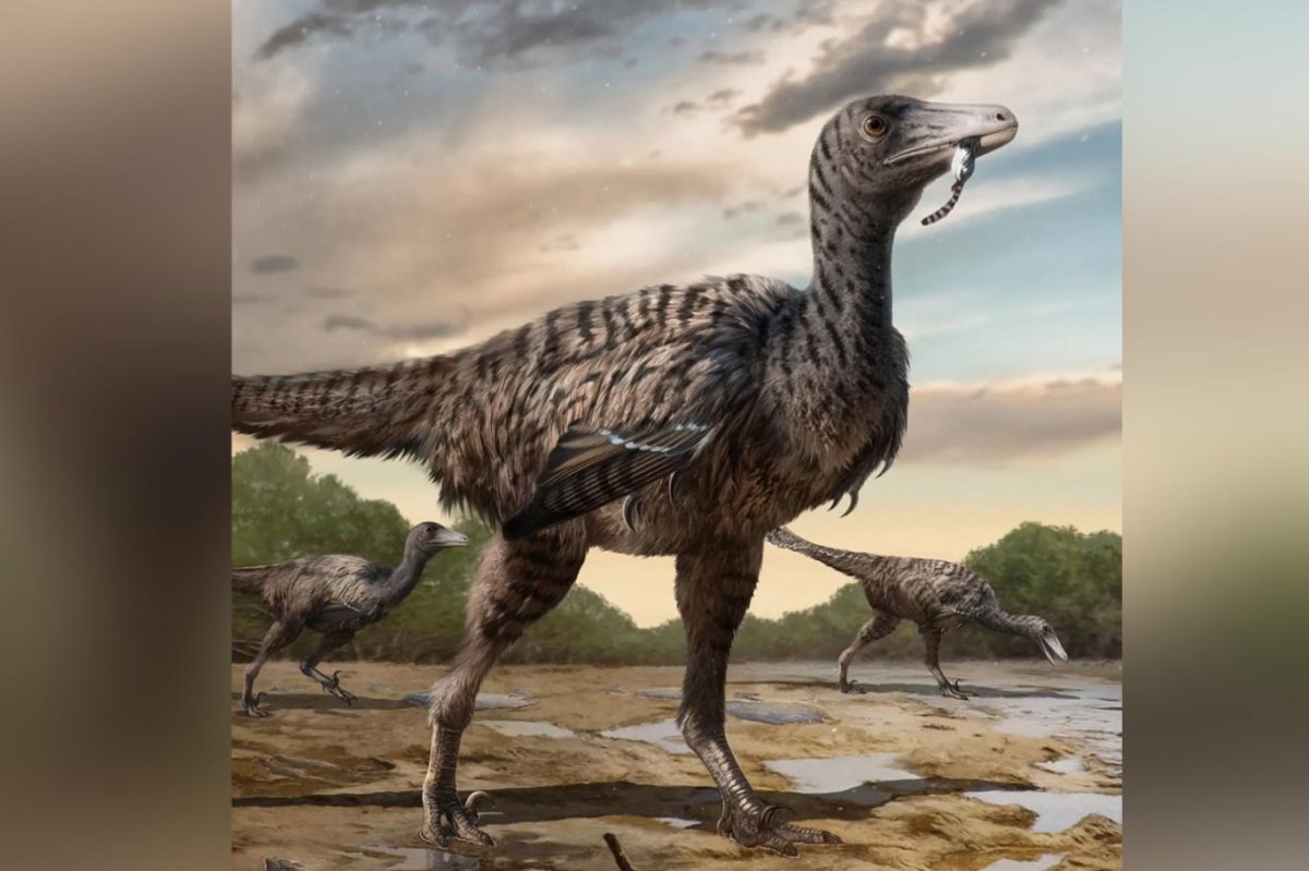 Devasa bir dinozor türü keşfedildi