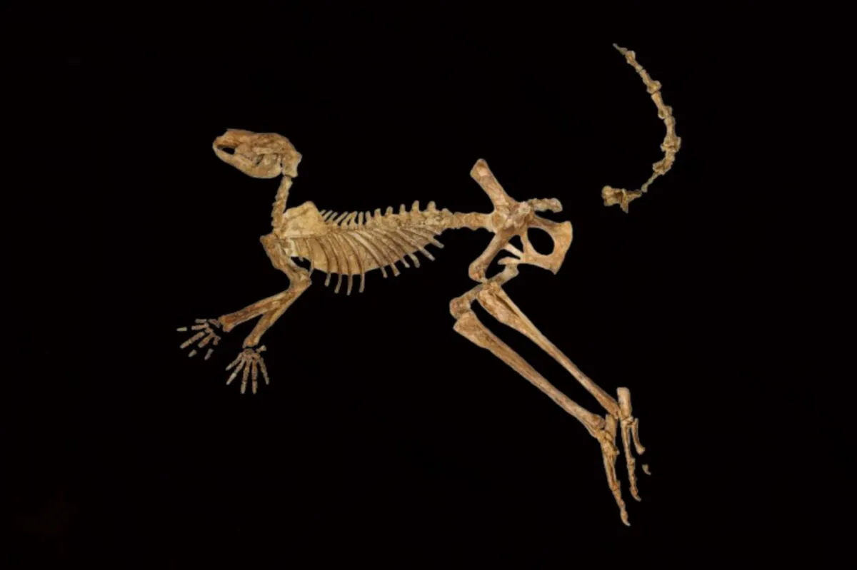 Bazı şarkıcıların sesini neden daha çok seviyoruz?