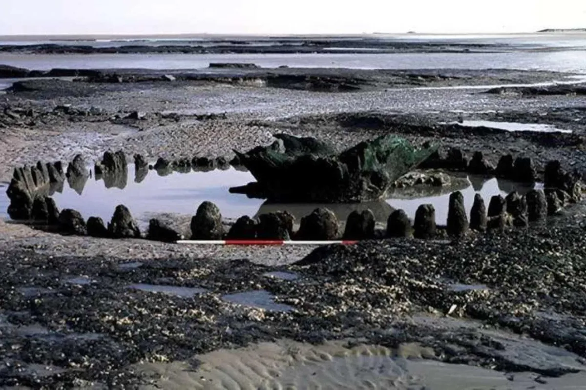 Tuhaf ahşap yapı Seahenge'in 4 bin yıllık gizemi nihayet çözüldü