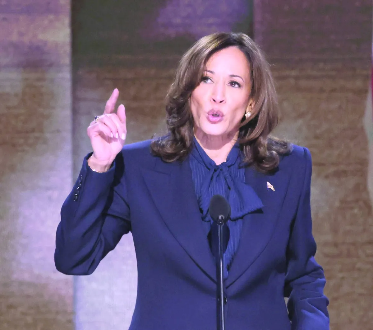 Harris isn’t Backing Away from Biden’s Democracy Focus. But She’s ...