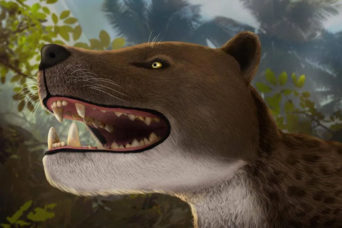 Mısır'da bulunan nadir kafatası, 30 milyon yıl önce yaşayan "korkunç ...