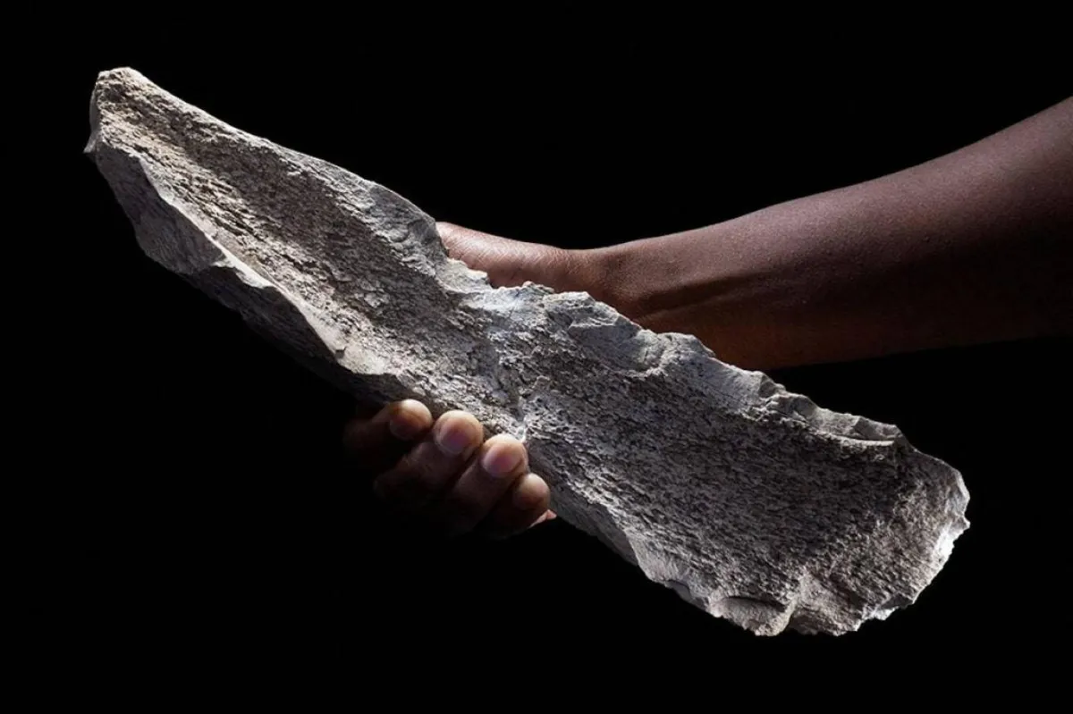 İnsanlık tarihini baştan yazan keşif: 1,5 milyon yıllık kemik aletler ...