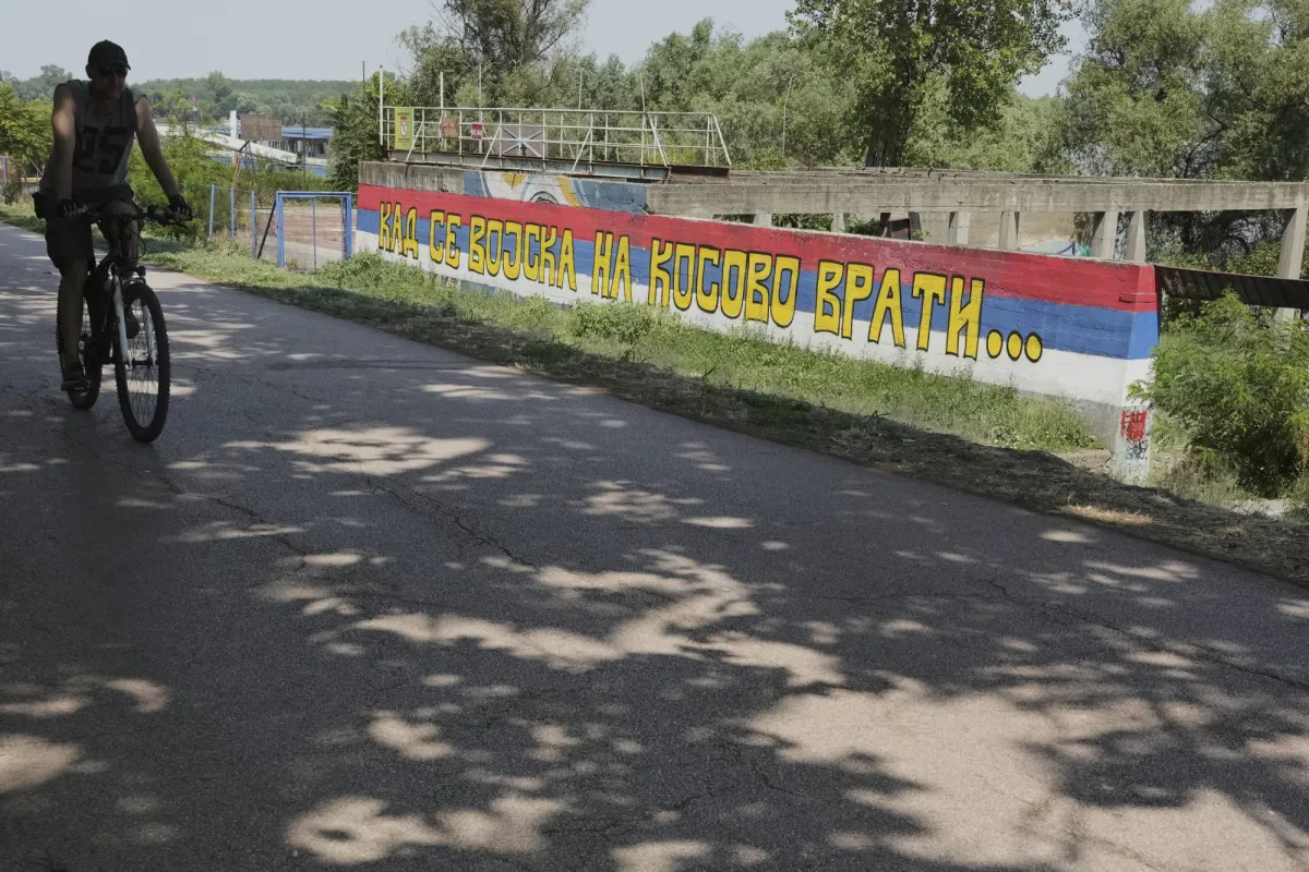 Serbian Scientists Experiment with Mealworms to Degrade Polystyrene