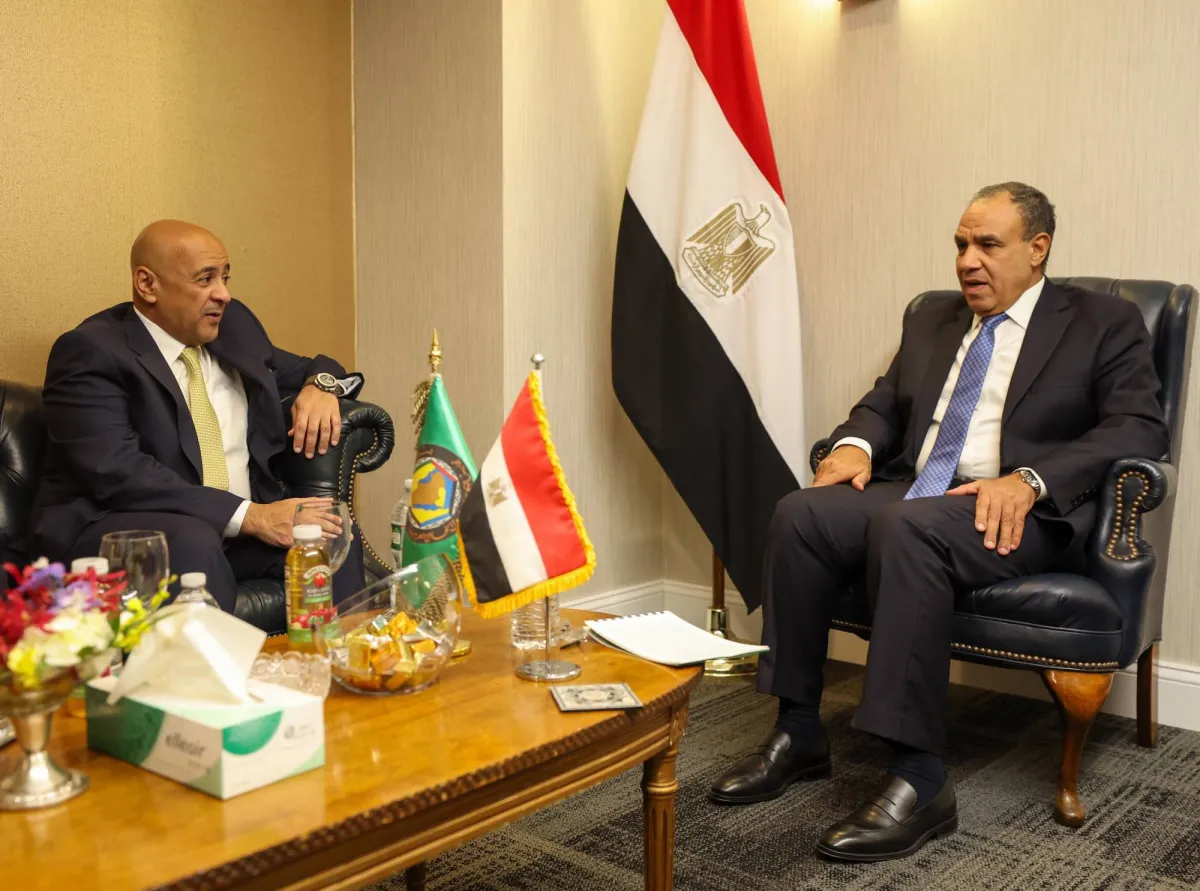 GCC Secretary-General, Egyptian FM Discuss Latest Regional Developments